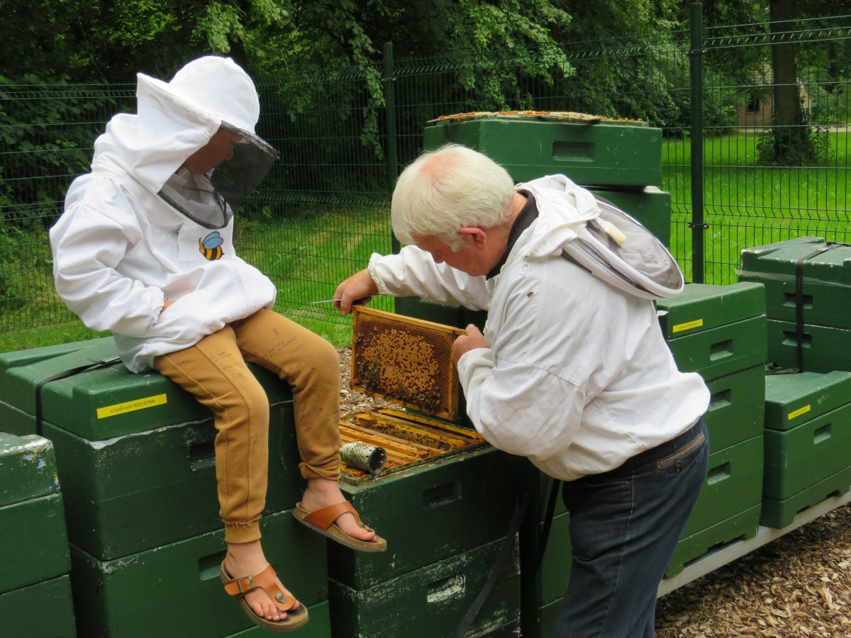 Arnold, een bevlogen imker die vroeger bij de ongediertebestrijding ...